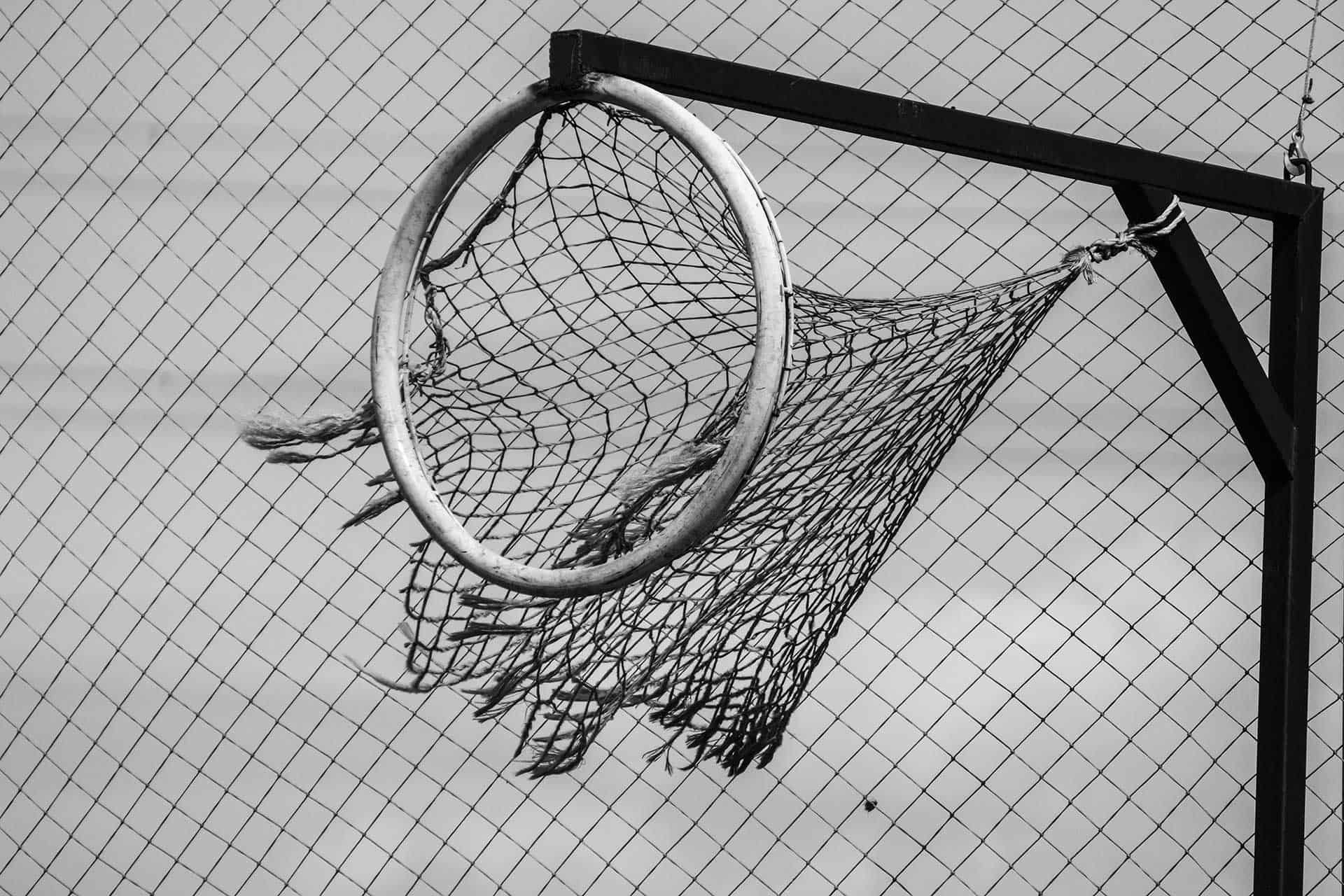 HorseBall Green Bay